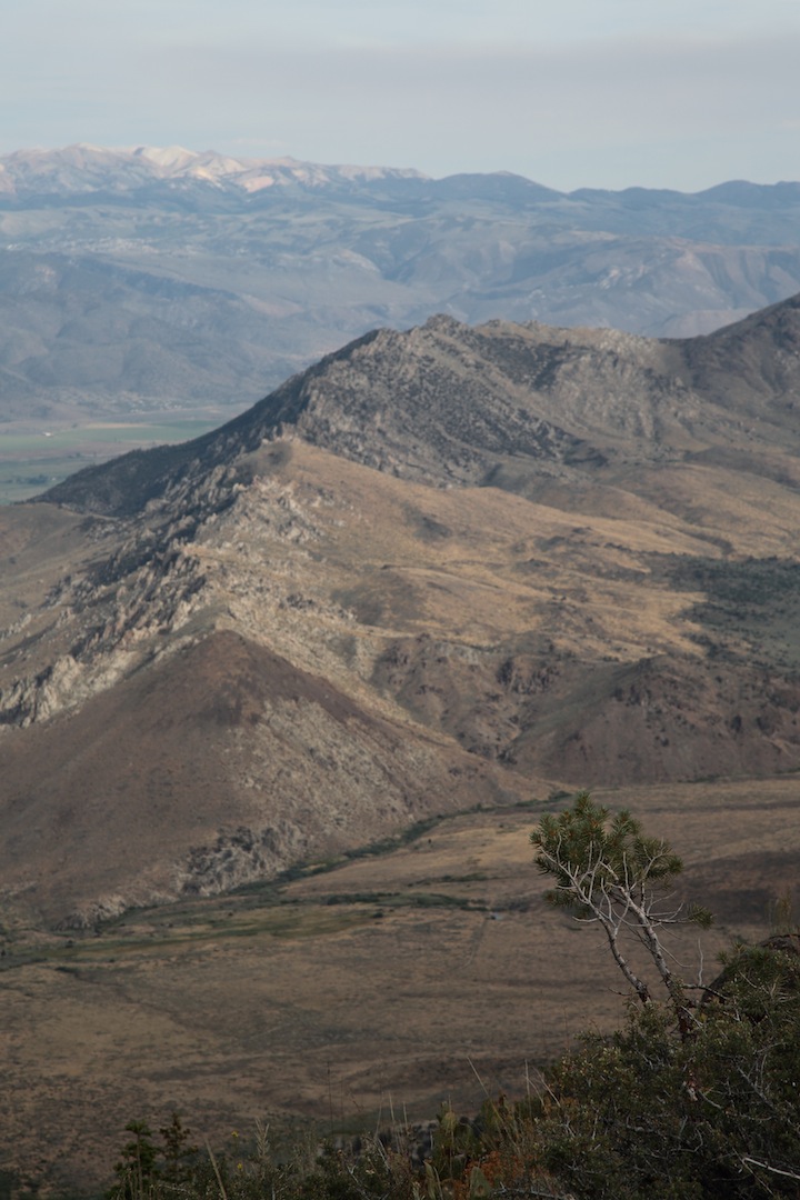 Hiking Near Monitor Pass | I Love The Eastern Sierra